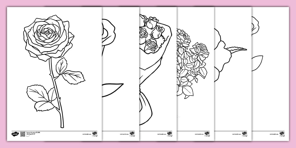 Rose Colouring Pages (teacher made) - Twinkl
