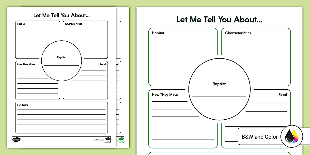 Reptile Graphic Organizer for K-2nd Grade (teacher made)