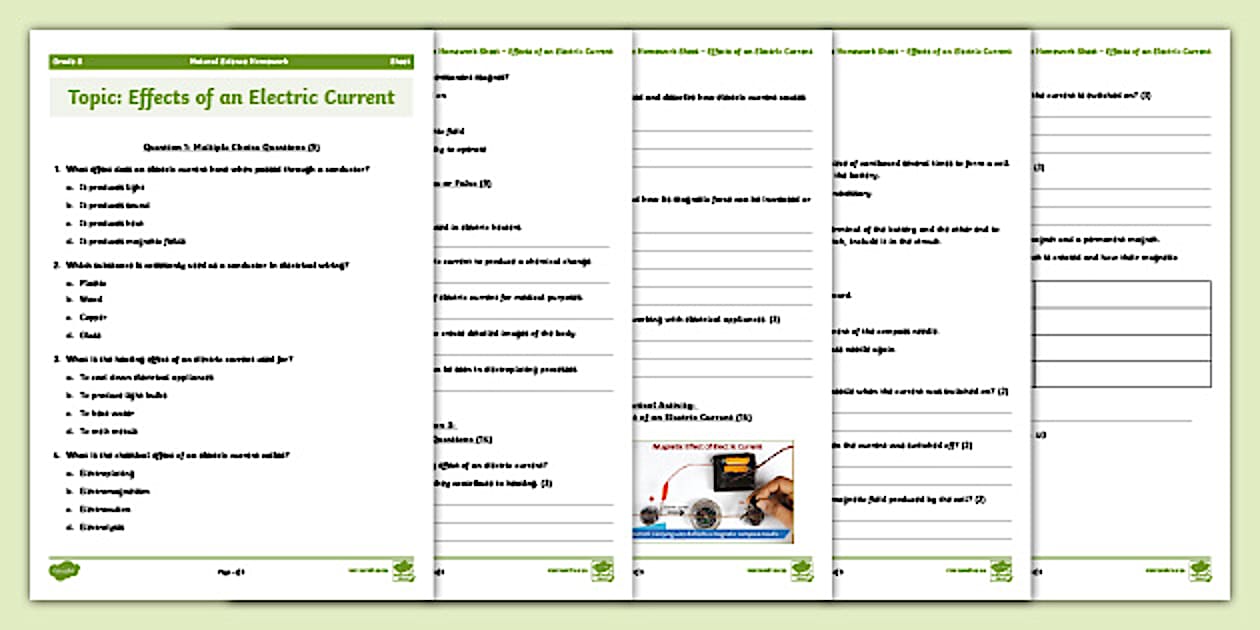 Grade 8 Natural Science Effects of an Electric Current Worksheet