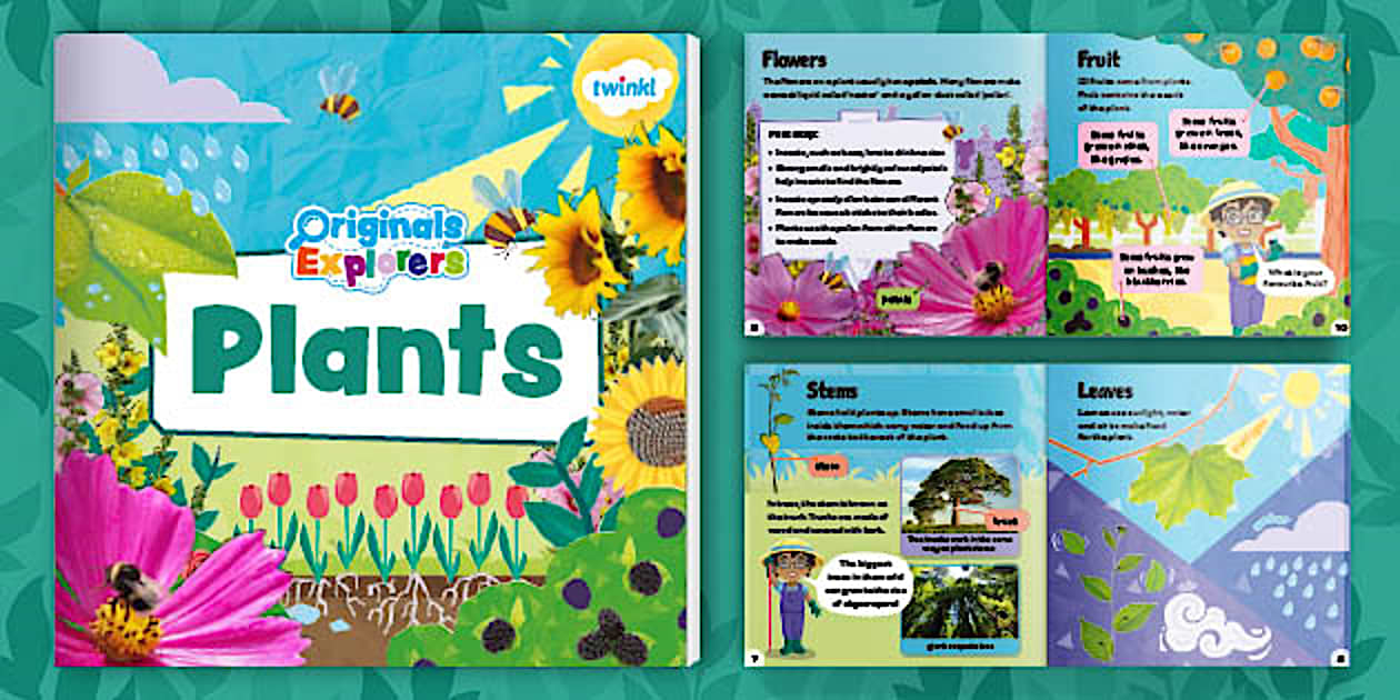 Originals Explorers: Plants eBook (teacher made) - Twinkl