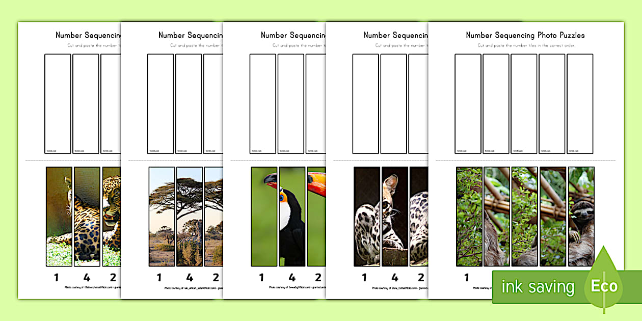 Rainforest Photos 1-5 Number Sequencing Puzzles - Cut and Paste