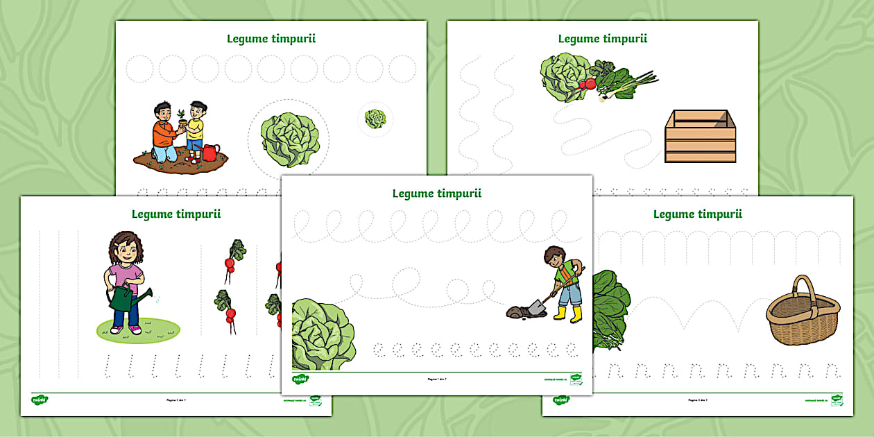 Legume timpurii – Fișe cu exerciții grafice - Twinkl