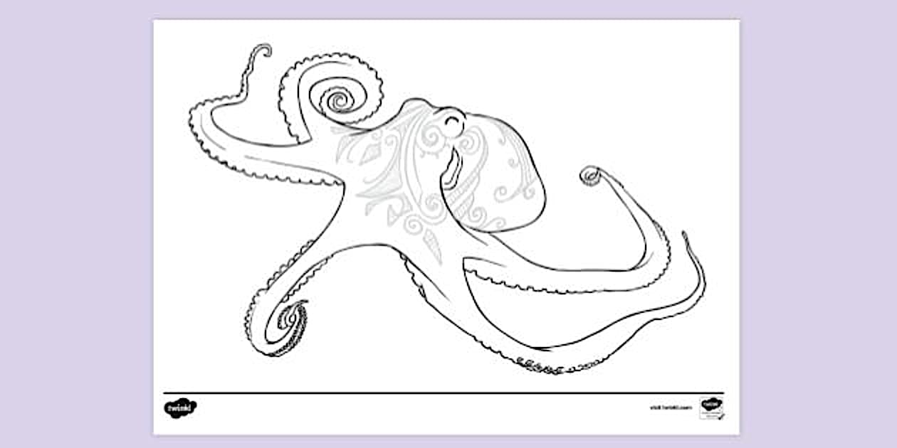 Octopus Colouring Page for Children | Colouring Sheets