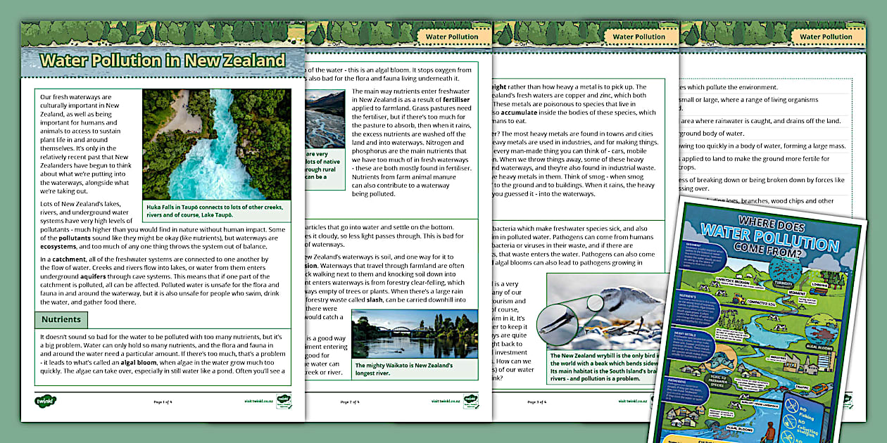 Human Impact: Water Pollution Fact File (teacher made)