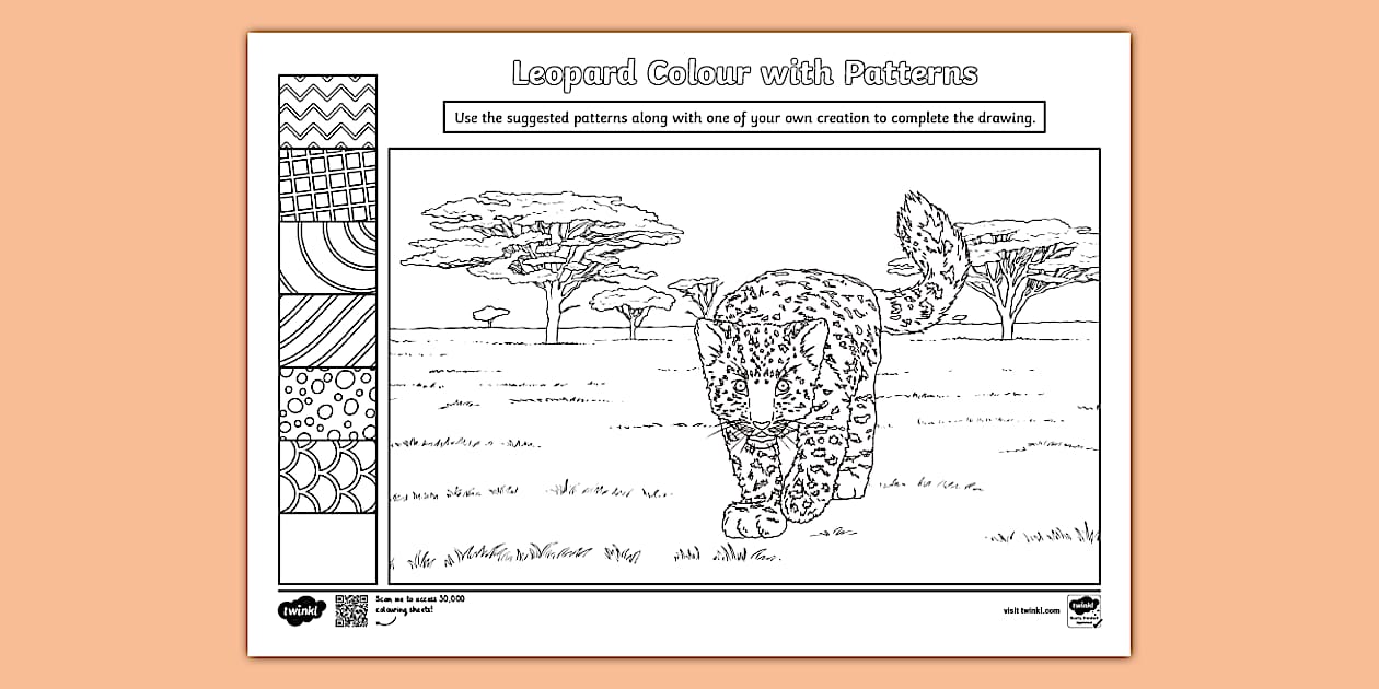 Leopard Colour with Patterns Activity (teacher made)