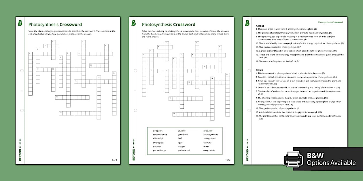 Photosynthesis Crossword | Biology | Beyond Secondary