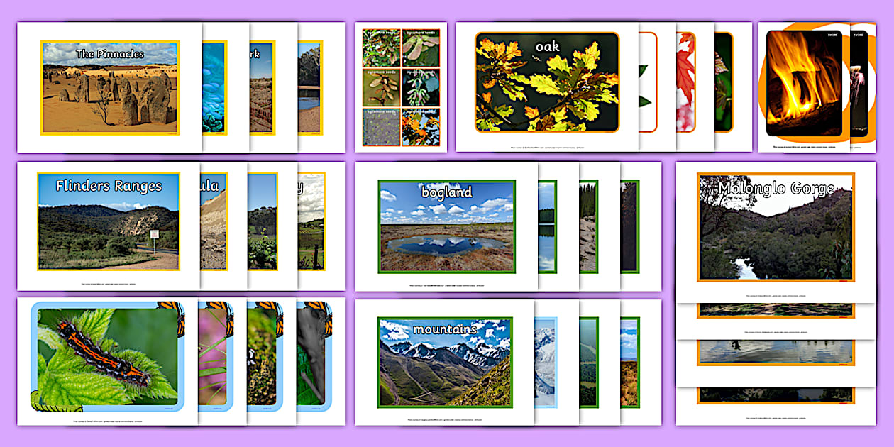 Over 160 Display Pictures of Nature | Resource Pack - Twinkl