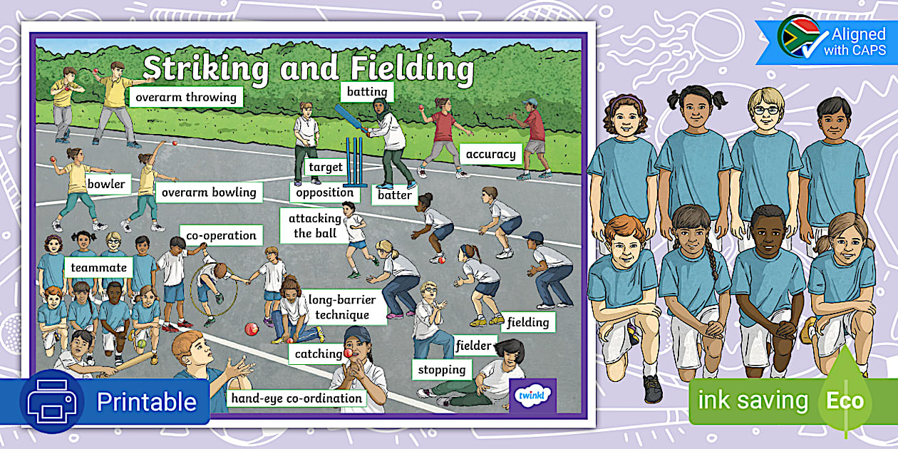 Grade 6 Physical Education Striking Fielding Display Poster