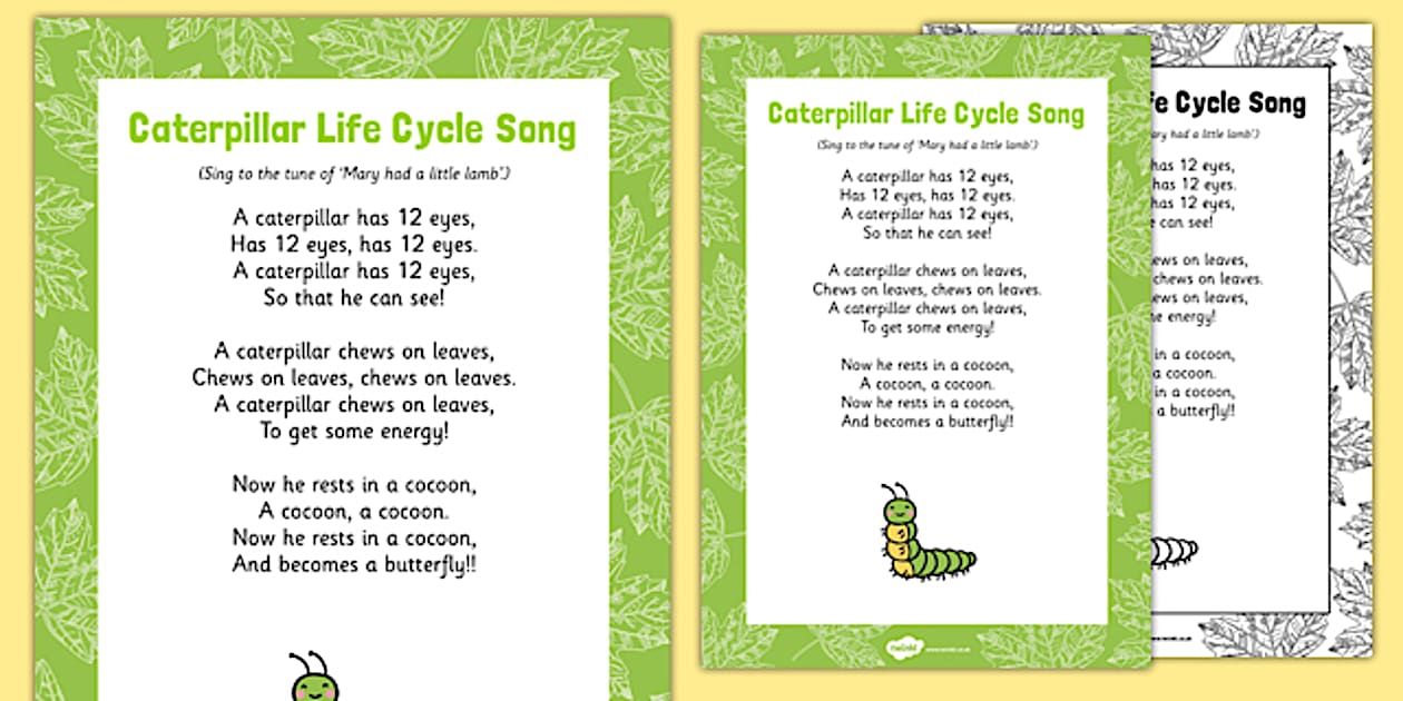 Caterpillar Life Cycle Display Pack (Teacher-Made) - Twinkl