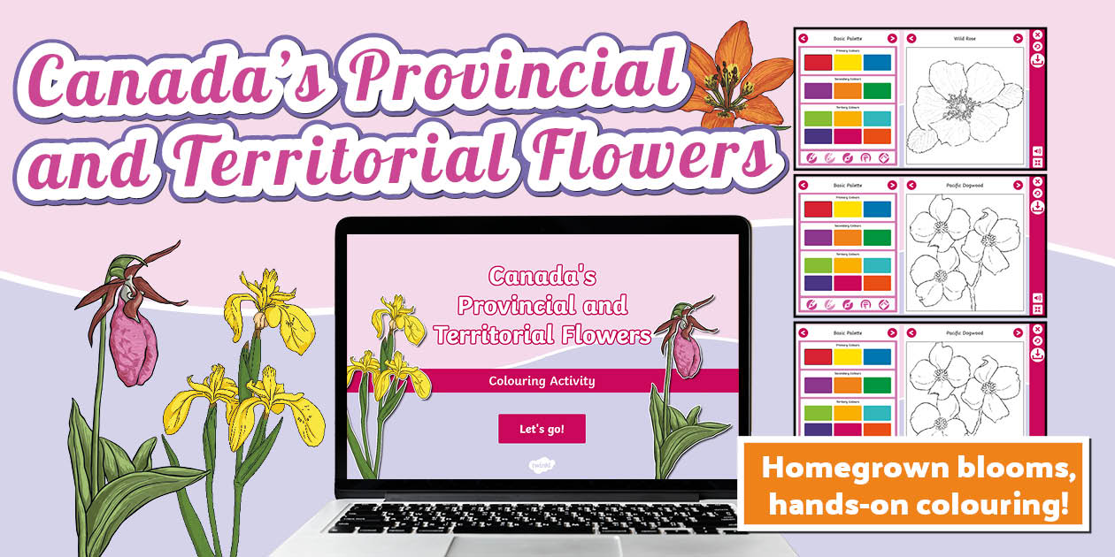 * NEW * Canada's Provincial & Territorial Flowers Interactive Colouring