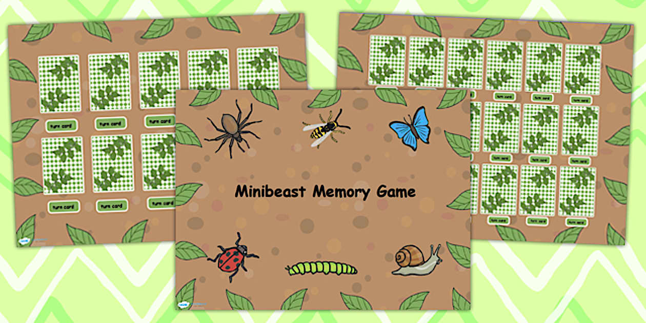 Minibeast Memory Game Flipchart (teacher made) - Twinkl