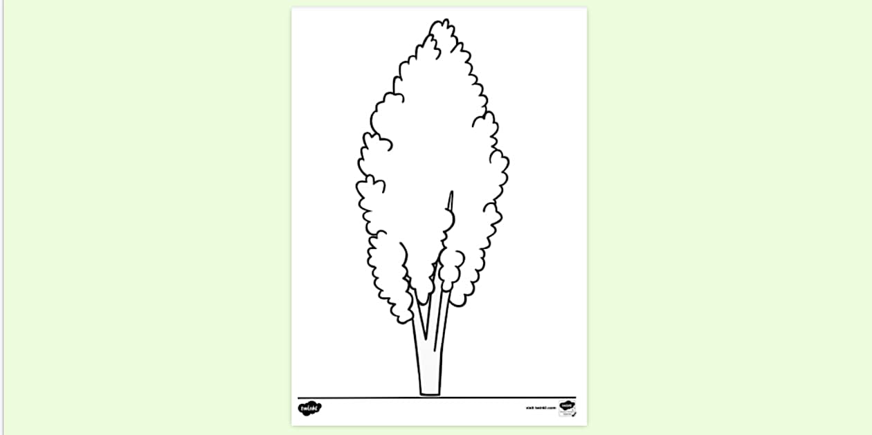 Poplar Tree Colouring Sheet | Tree Colouring Pages | KS1