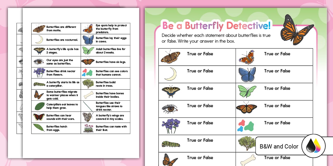 Butterfly Read and Write the Room Worksheet for K-2nd Grade