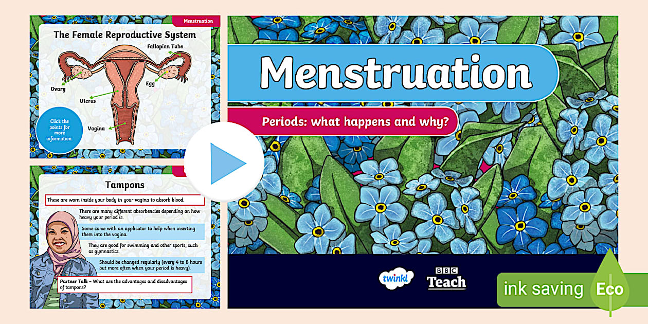 FREE! - Menstruation PowerPoint - BBC Teach - Twinkl - Partnerships