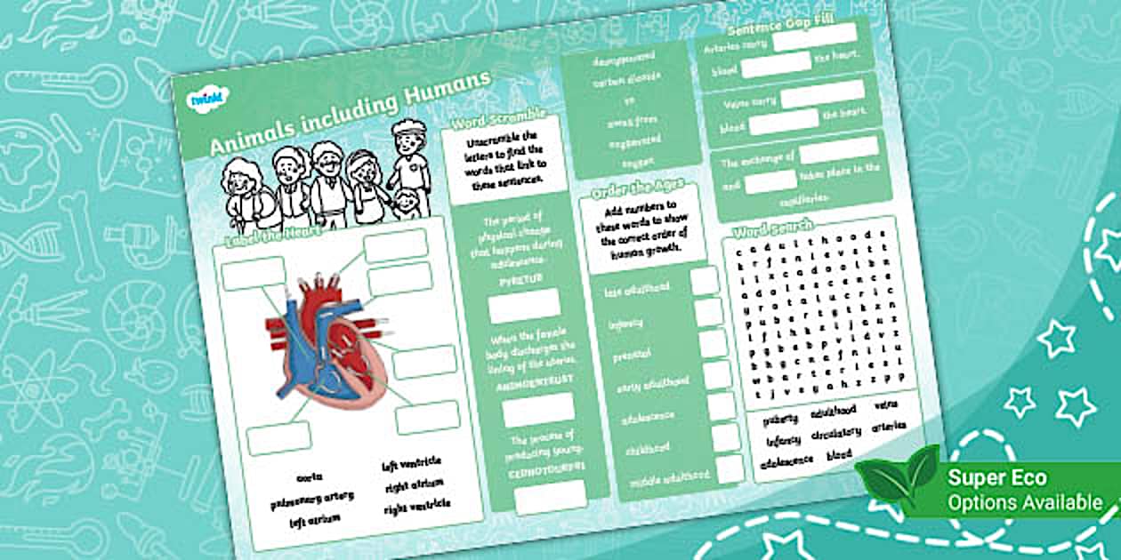 Animals including Humans Activity Mat (Ages 9–11) - Twinkl