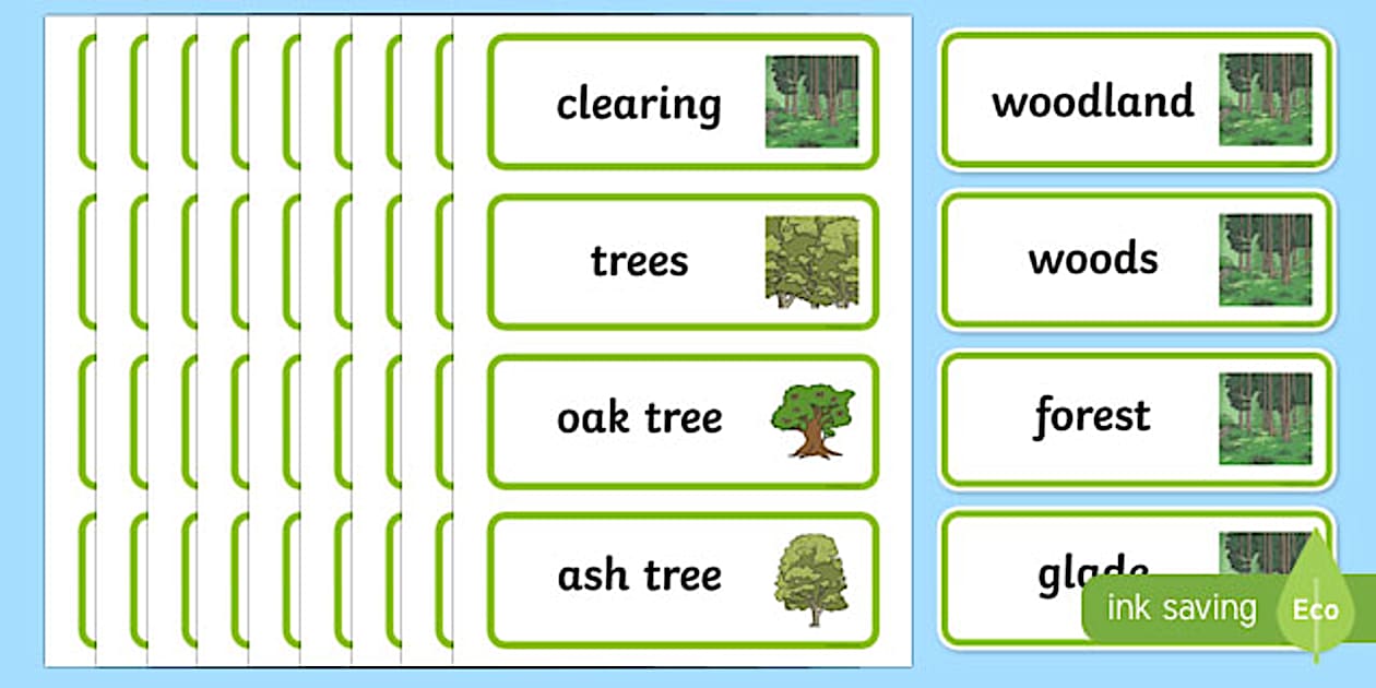 Editable Woodland Word Cards (Hecho por educadores) - Twinkl