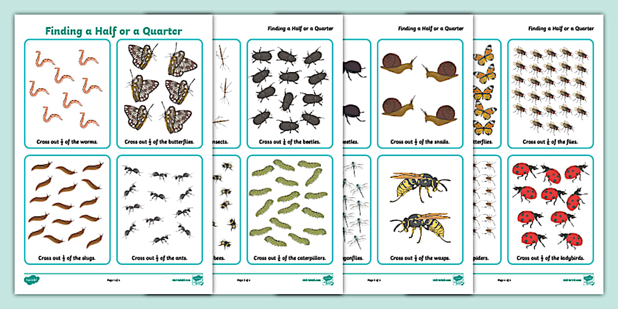 👉 Minibeasts Finding Half or a Quarter of an Amount - Twinkl
