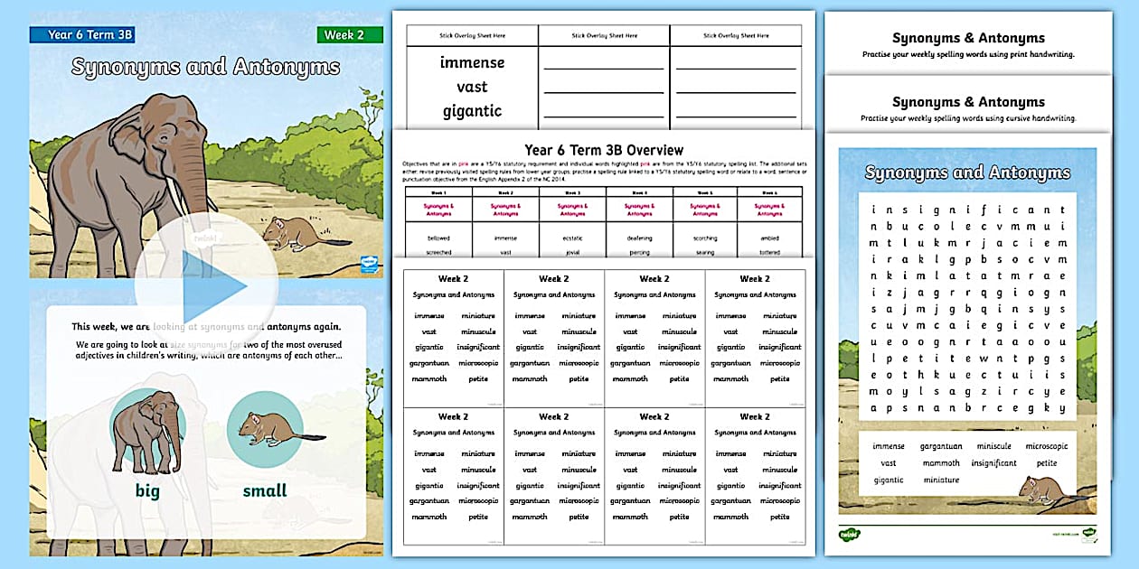 Year 6 Term 3B Week 2 Spelling Pack (Teacher-Made) - Twinkl