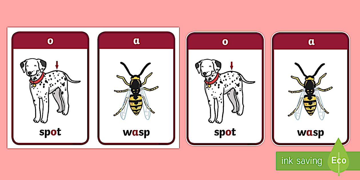 My 'o' Sound Family Flashcards (teacher made) - Twinkl