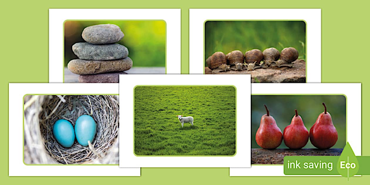 👉 Subitising to 5 Display Photo Pack (teacher made)