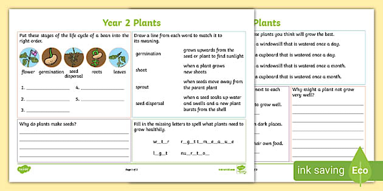 Year 2 Plants Revision Activity Mat | KS1 Maths - Twinkl
