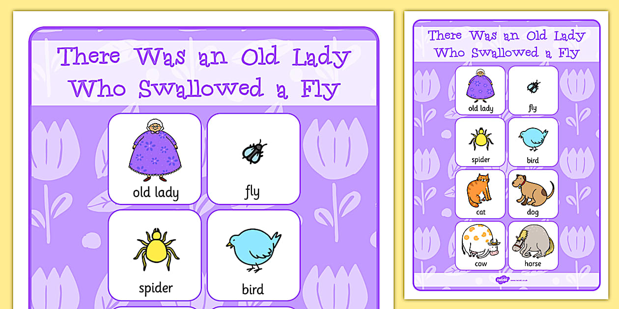 There Was an Old Lady Who Swallowed a Fly Vocabulary Poster - fly