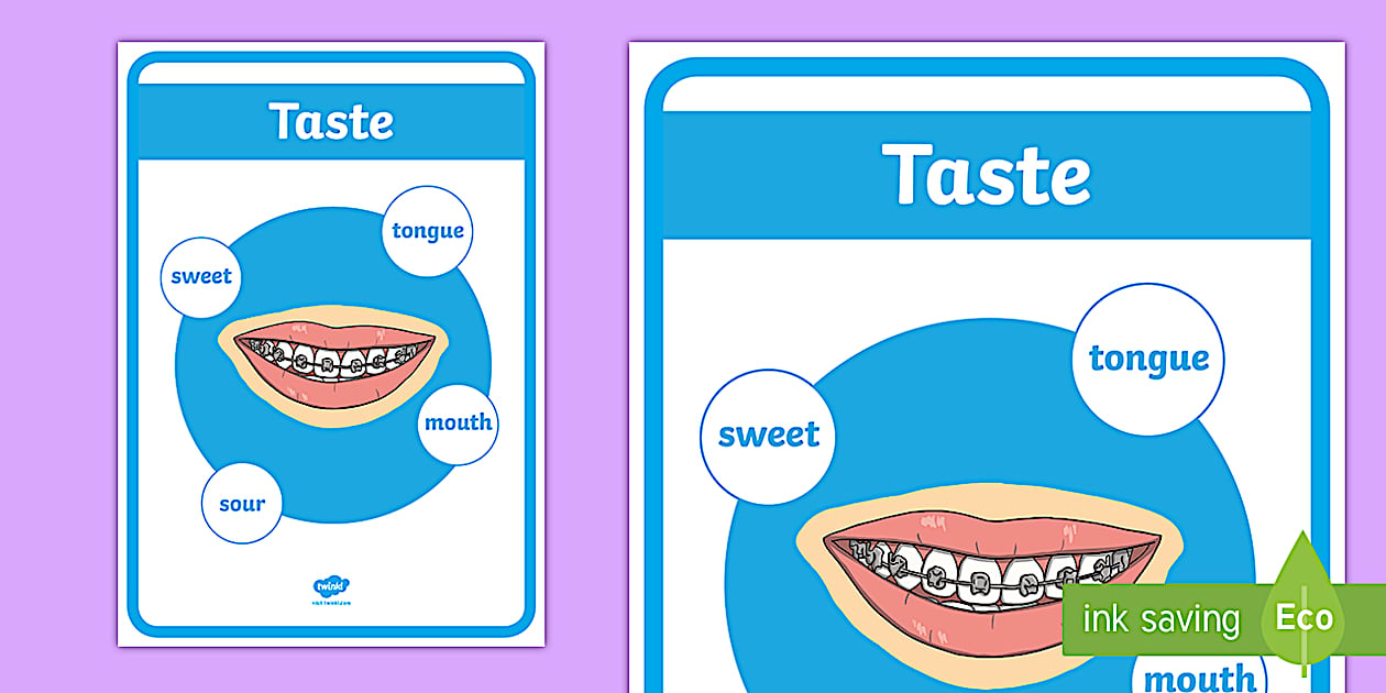 👉 KS1 The Five Senses Taste A4 Display Poster - Twinkl