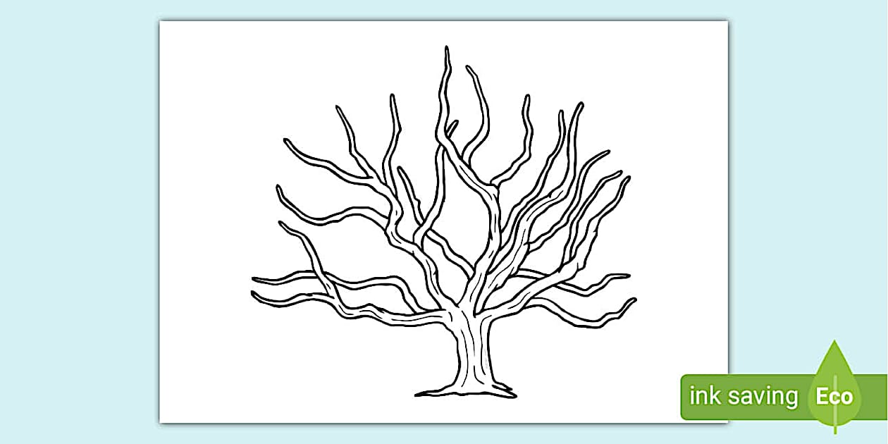 Tree Trunk Template | Nature Drawing Resources - Twinkl