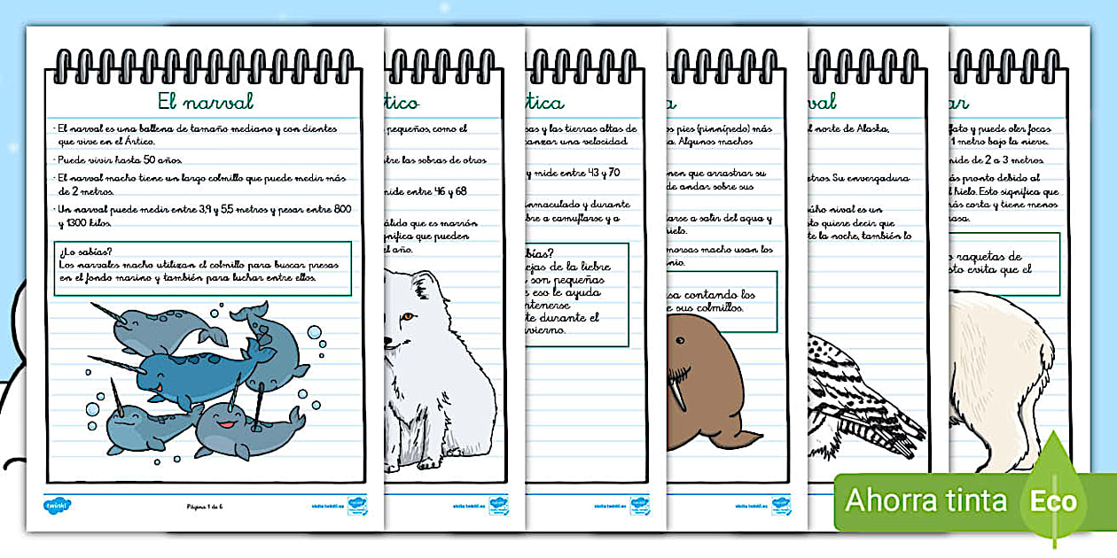 Hojas informativas: Animales polares - Twinkl