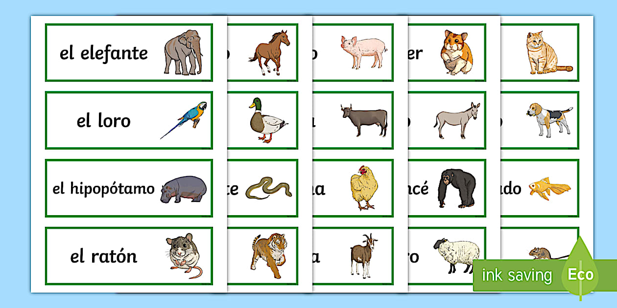 Animals Word Cards Spanish (Teacher-Made) - Twinkl