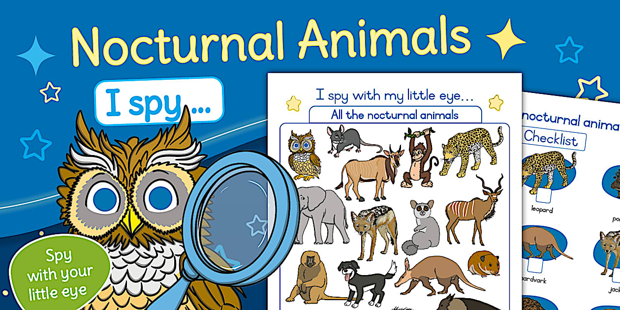 Gr 2: Life Skills: Nocturnal Animals: I Spy…