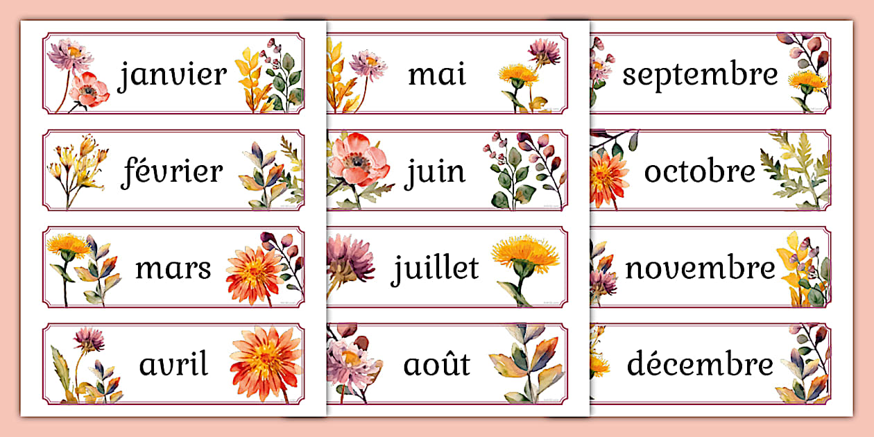 Cartes de vocabulaire : Les mois de l'année