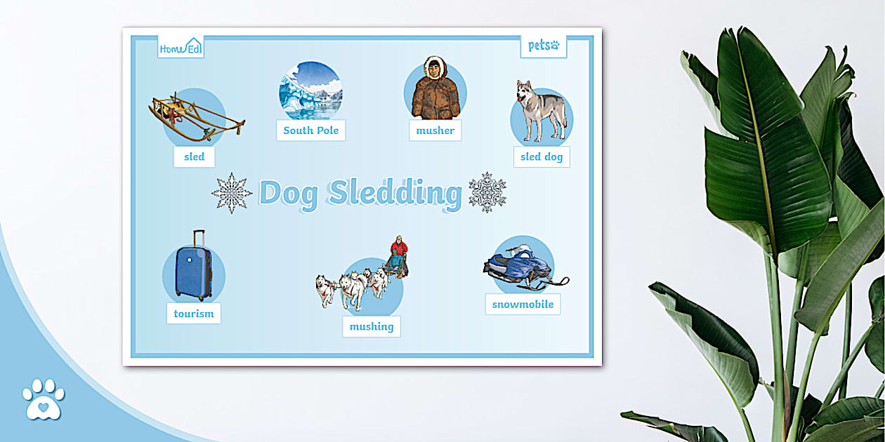 Dog Sledding Word Mat