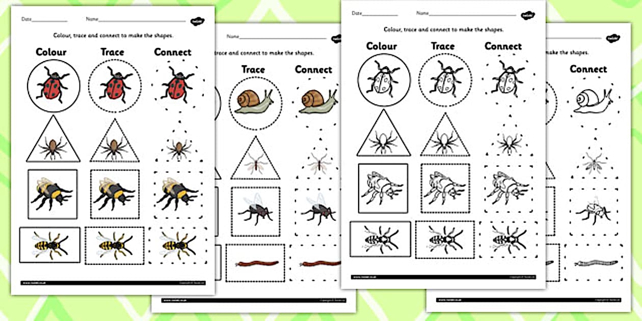 Editable Minibeasts 2D Shape Colour, Trace and Join the Dots