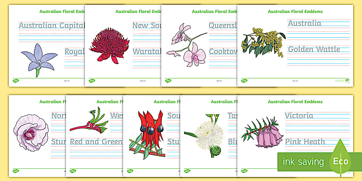 QLD Australian Floral Emblems Handwriting Activity - Twinkl