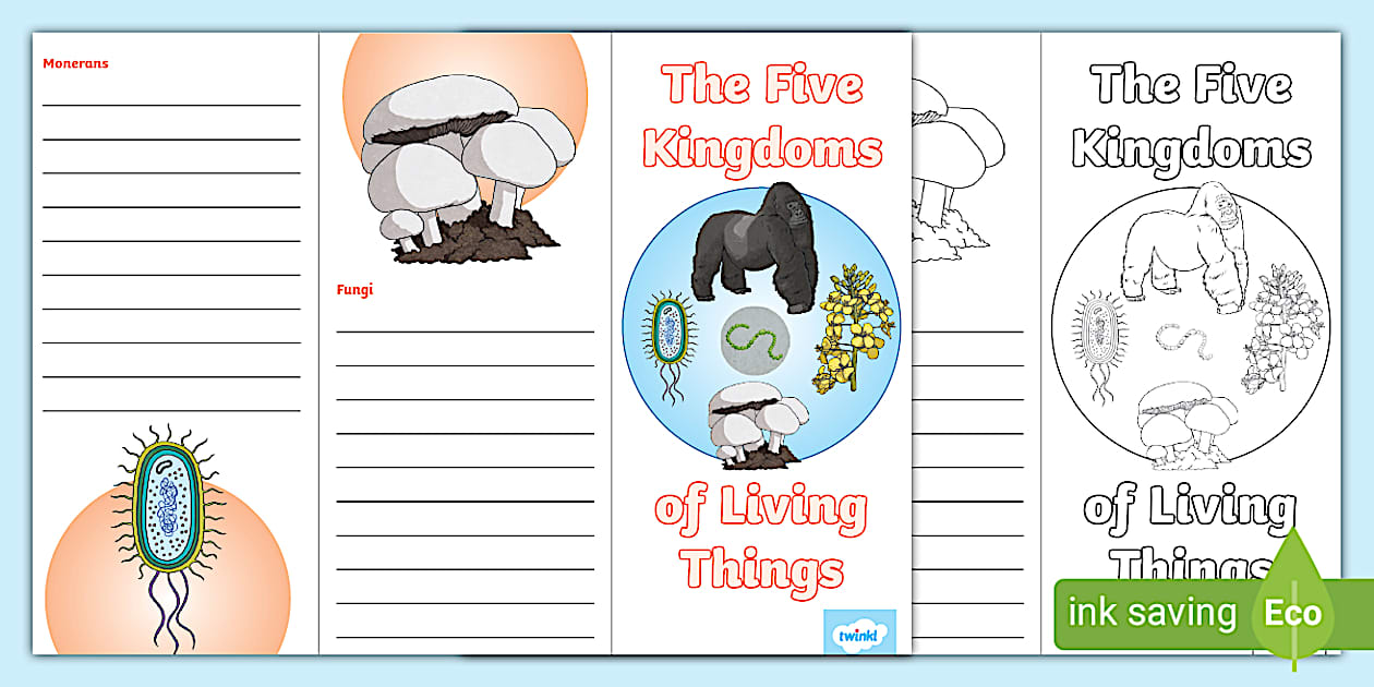 The Five Kingdoms of Living Things Leaflet Template - Twinkl