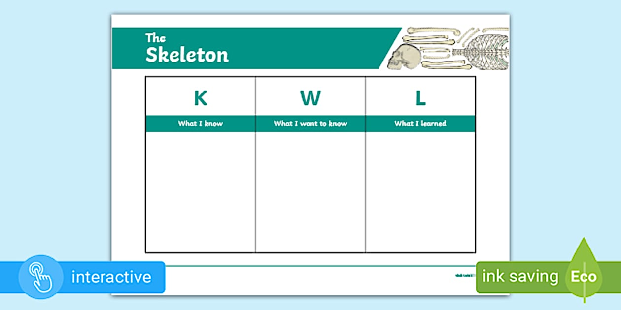 The Skeleton KWL Chart (teacher made) - Twinkl