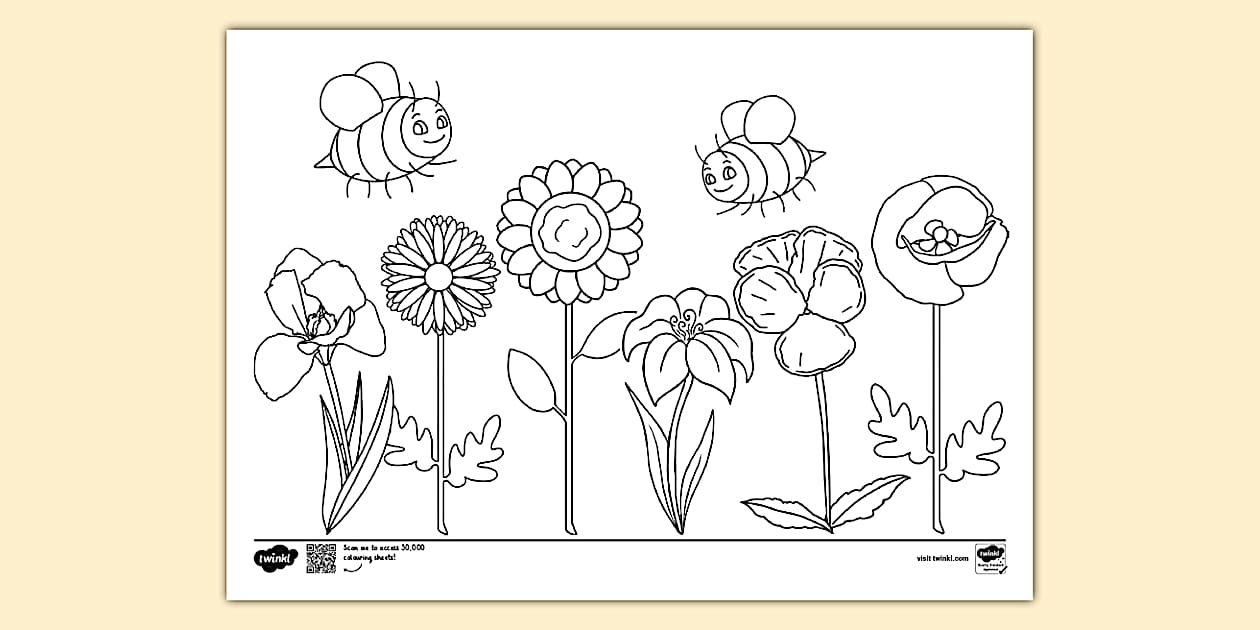 Bees and Flowers Colouring Page | Colouring Sheets - Twinkl