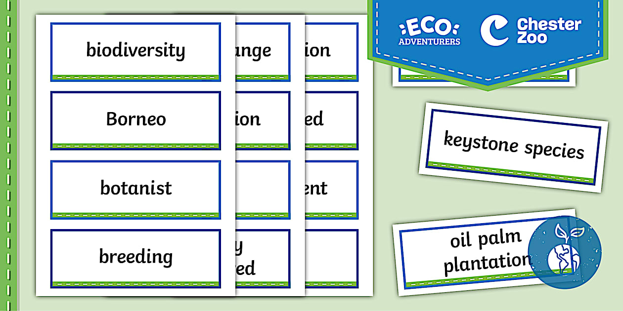 FREE! - Year 3 Biodiversity: Key Vocabulary Cards - Twinkl