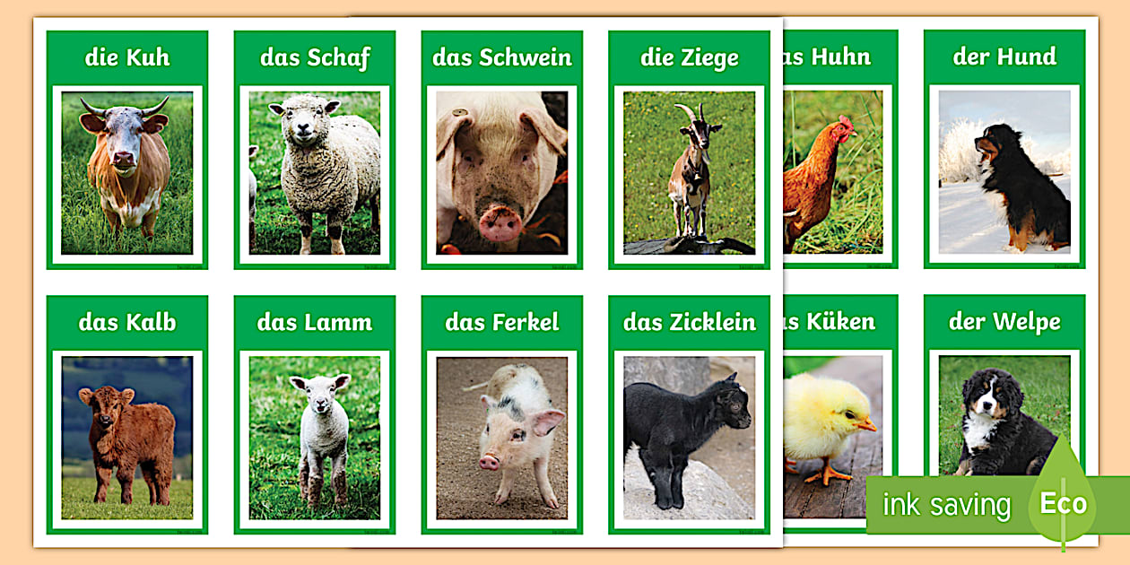 Farm Animals and Their Young Flashcards German - Twinkl