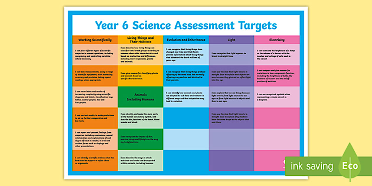 Year 6 Science Assessment Display Posters - Year 6 Science Assessment ...