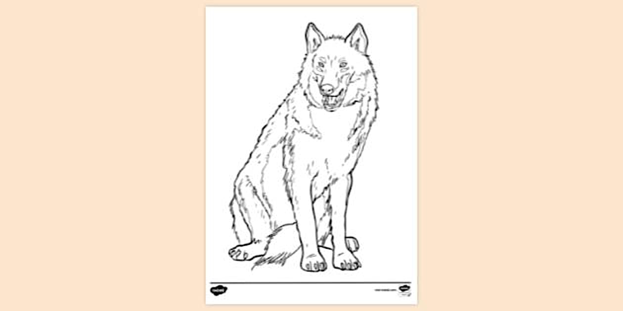 Detailed Wolf Colouring Page (teacher made) - Twinkl