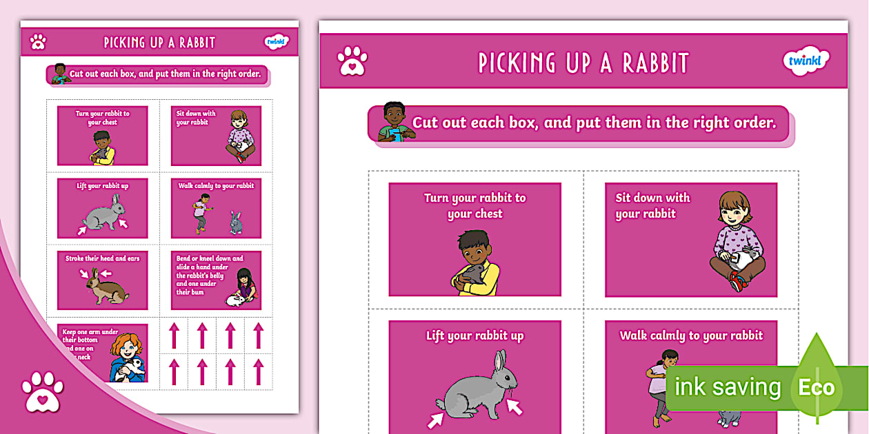 Picking up a Rabbit - Sequencing Cards - Pet - Twinkl Pets