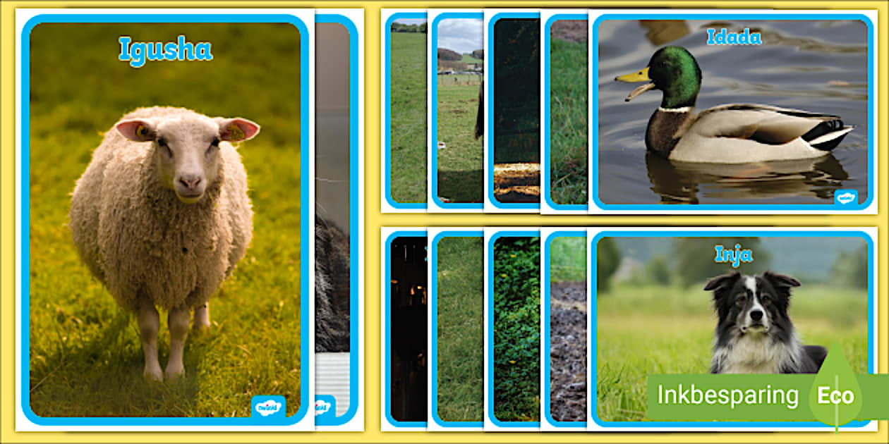 Farm Pictures | Animals Photo Posters | isiXhosa - Twinkl