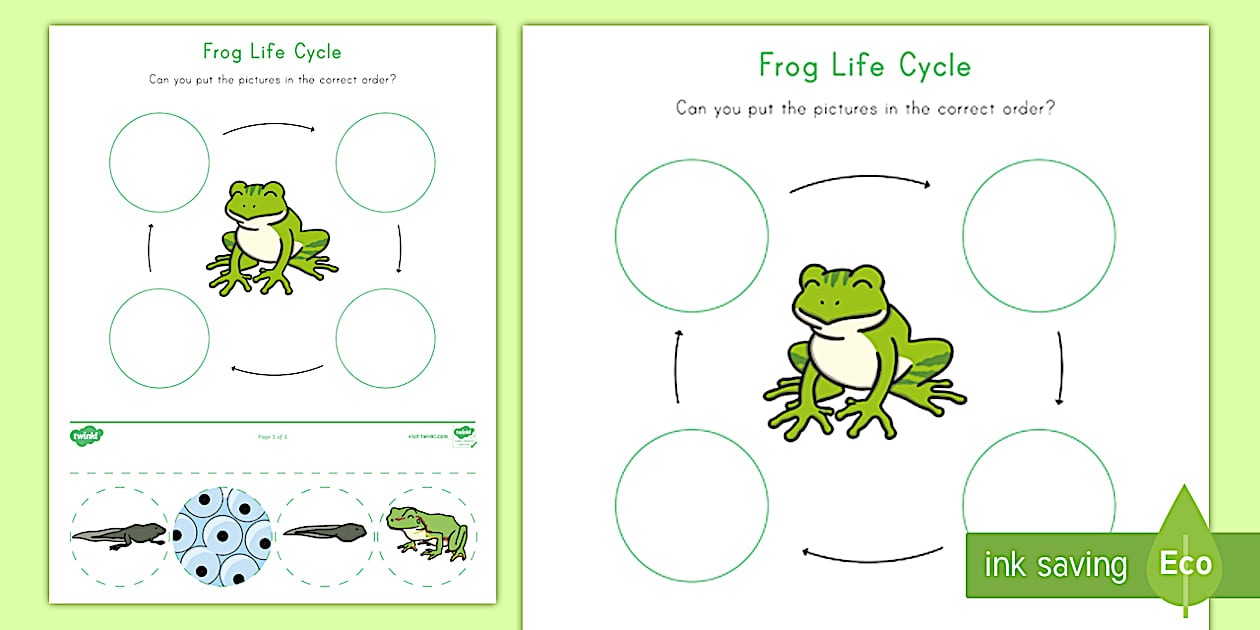 Frog Life Cycle Cut and Paste Worksheet
