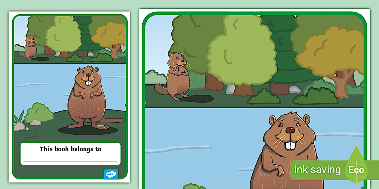 Beaver-Themed Book Cover | Twinkl | Stationery | Book Cover