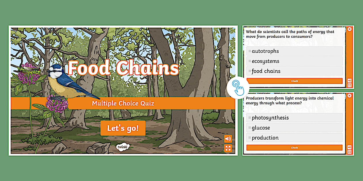 Food Chains Interactive Quiz for 6th-8th Grade - Twinkl