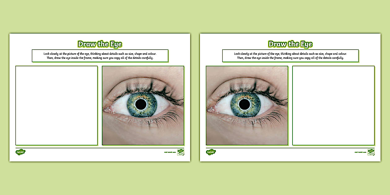 Draw the Eye Worksheet (teacher made) - Twinkl