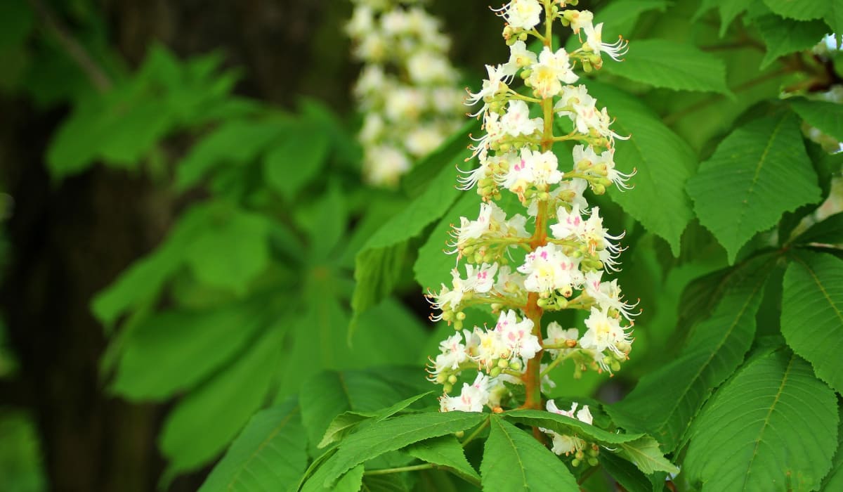 British Science Week 2024 - Twinkl NewsRoom - Twinkl