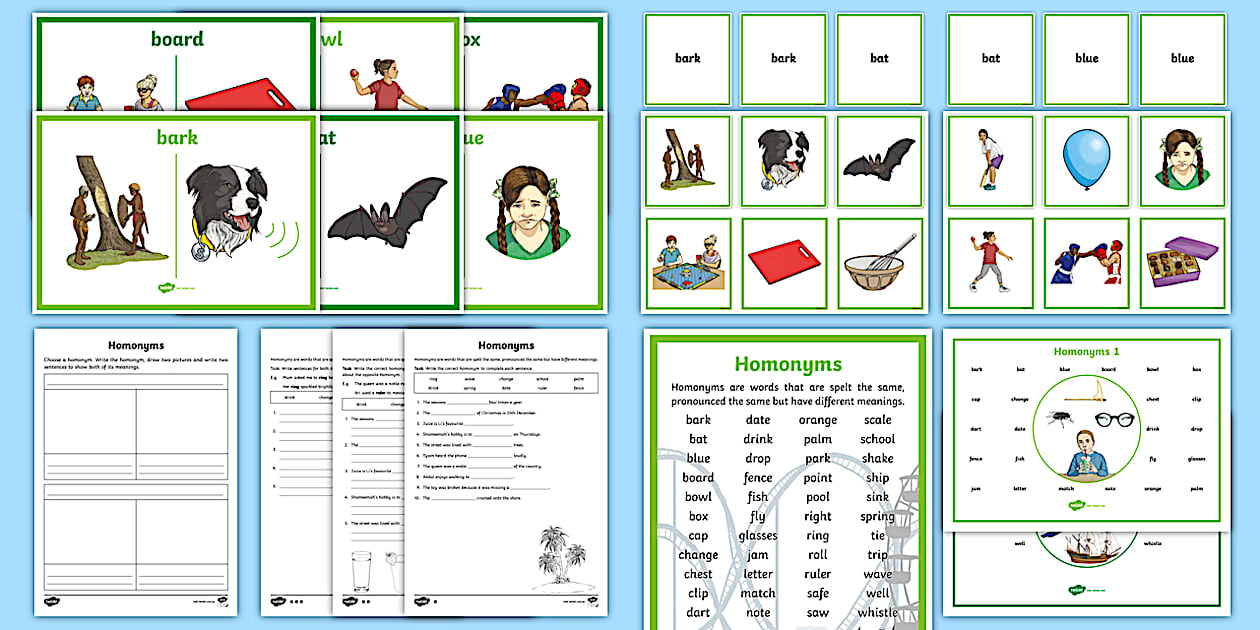 Homonyms Activity Pack (teacher made) - Twinkl